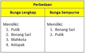 Perbedaan Bunga Lengkap dan Bunga Sempurna (+Contohnya) – idschool.net