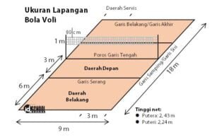 Ukuran Lapangan Bola Voli Indoor – idschool.net