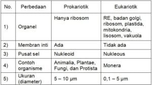 Struktur Organel Sel Eukariotik dan Fungsinya – idschool.net