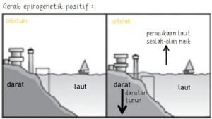 Perbedaan Gerak Epirogenetik dan Orogenetik pada Tumbukan Lempeng Bumi ...